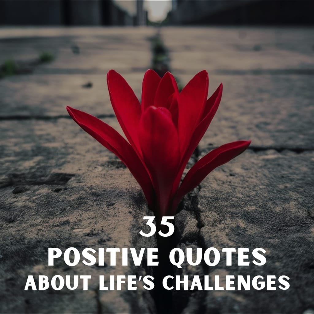 35 Positive Quotes About Life’s Challenges - Daily Quotify