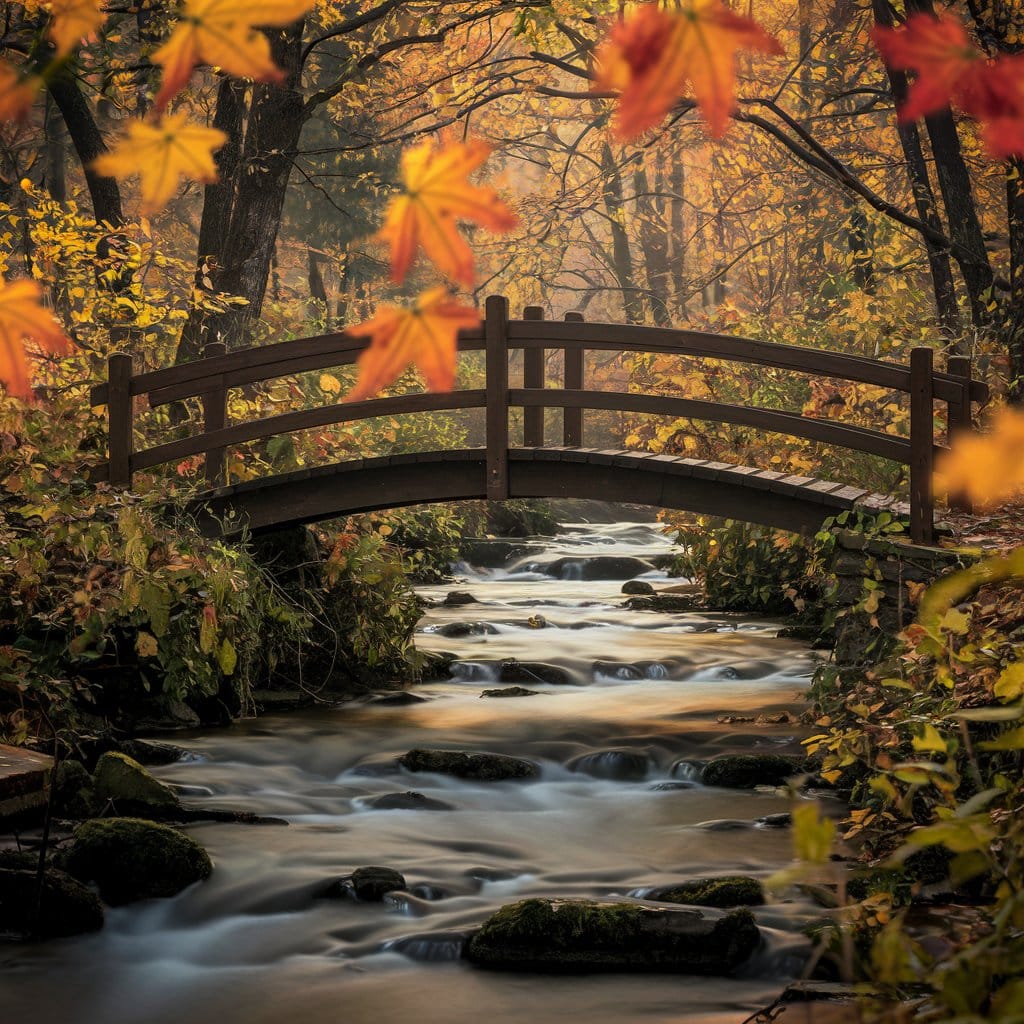 39 Deep Wisdom Quotes for a Meaningful Life - Daily Quotify